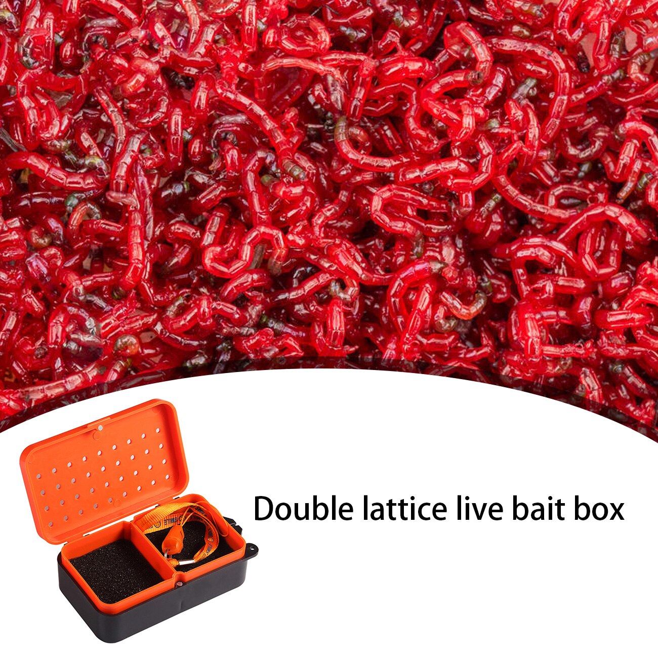 1Pcs Live Bait Storage Box Containers 2 Compartmen... – Vicedeal