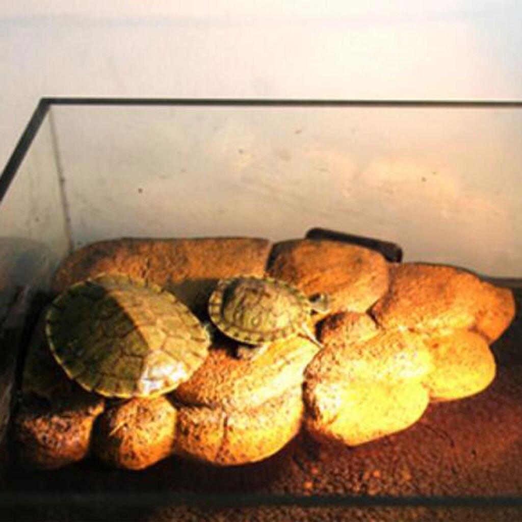 Artificial Resin Rock Floating Island Reptile Play... – Grandado