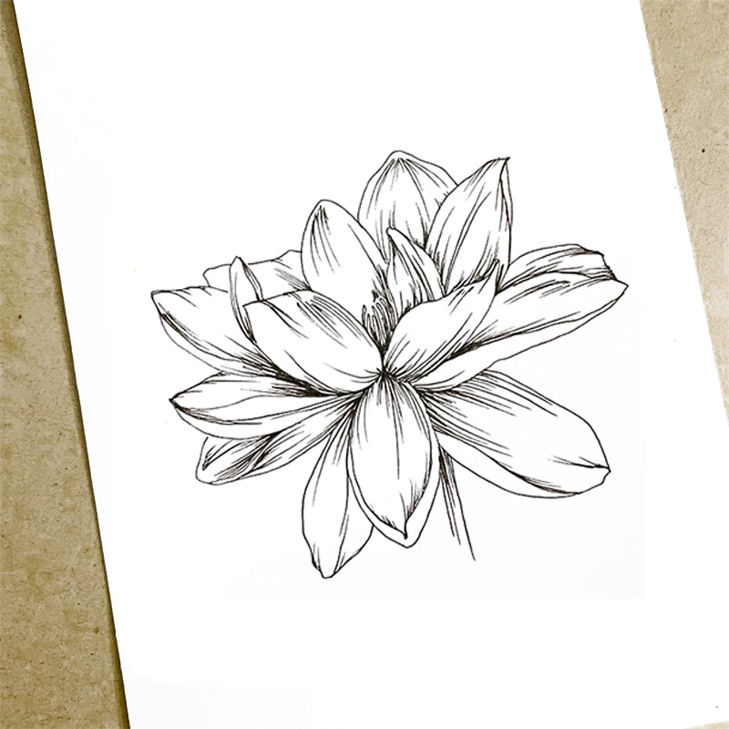 Schets Bloem Clear Stamps Transparante Stempels Si... – Vicedeal