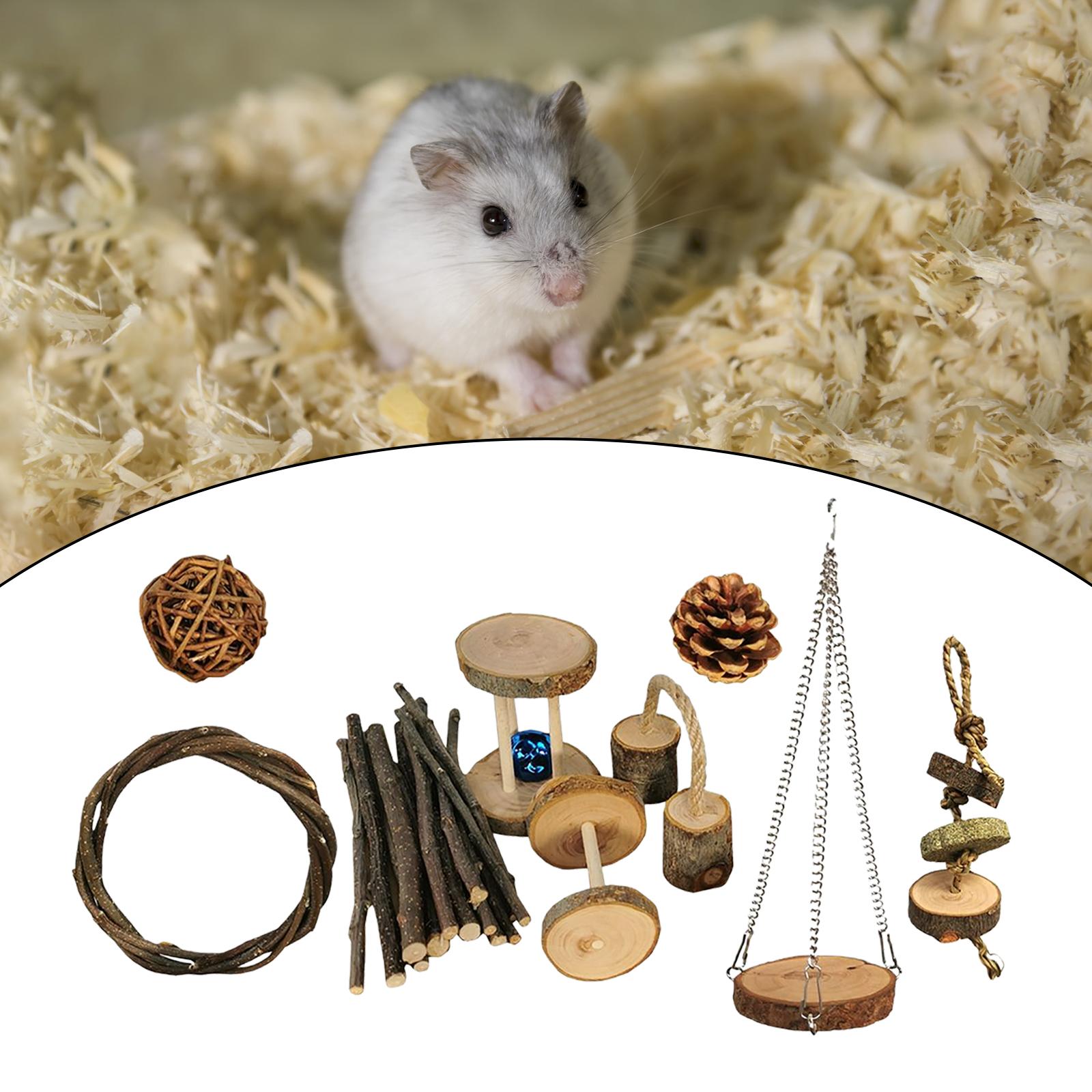 Hamster Rabbit Chew Toys Set Bite Grind Teeth Toys... – Vicedeal