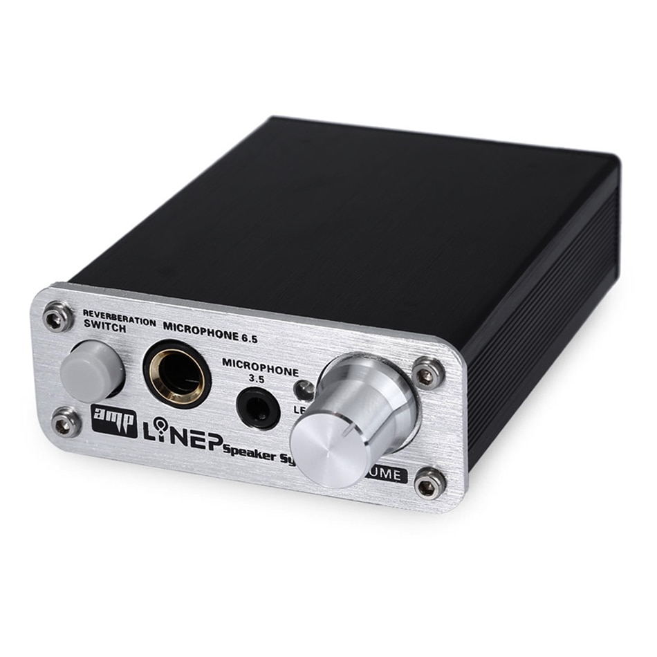 Microphone Preamp 2-Way MIC Pre-Amplifier Reverber... – Vicedeal