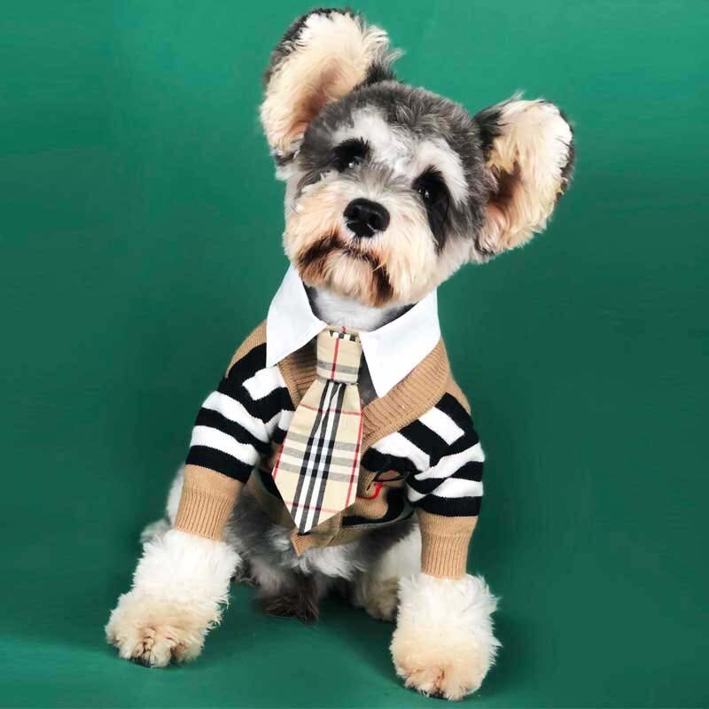 Elegante Hond Gestreepte Stropdas Trui Zachte Pupp... – Grandado