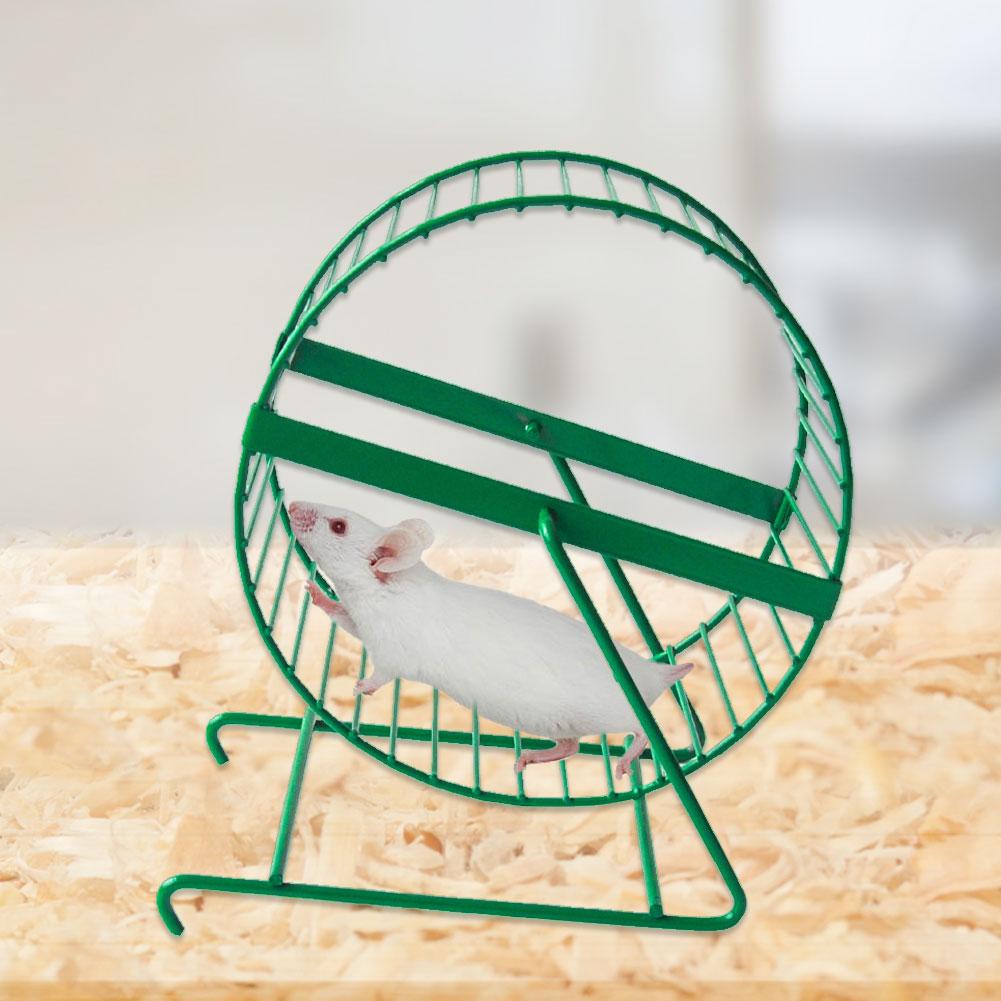 Activity Wheel Metal Safe Durable Run-around Wheel... – Vicedeal