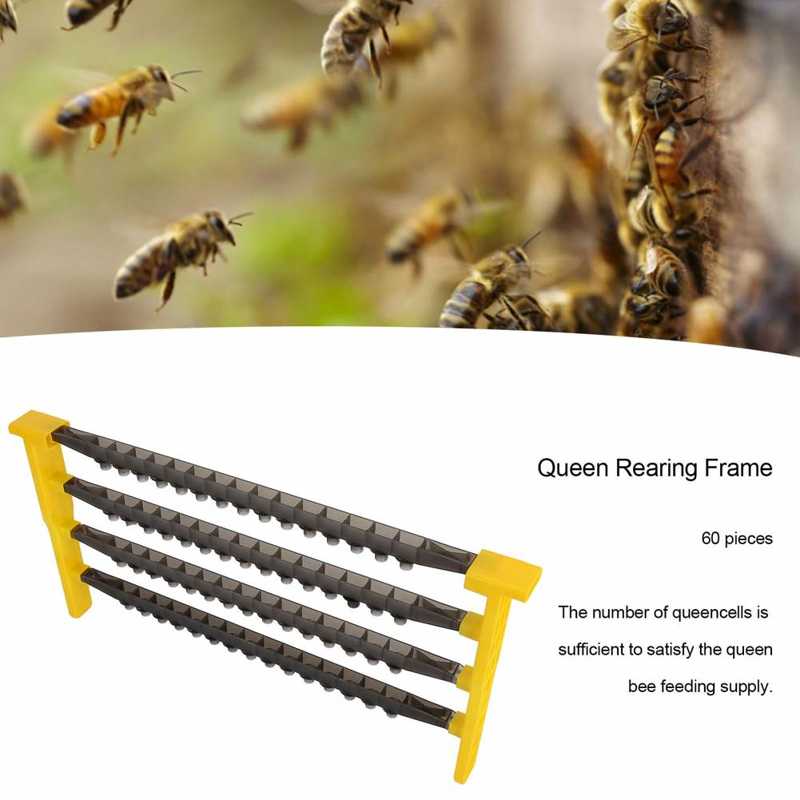 Queen Cell Kit Beekeeping Lightweight Side Beam No... – Vicedeal