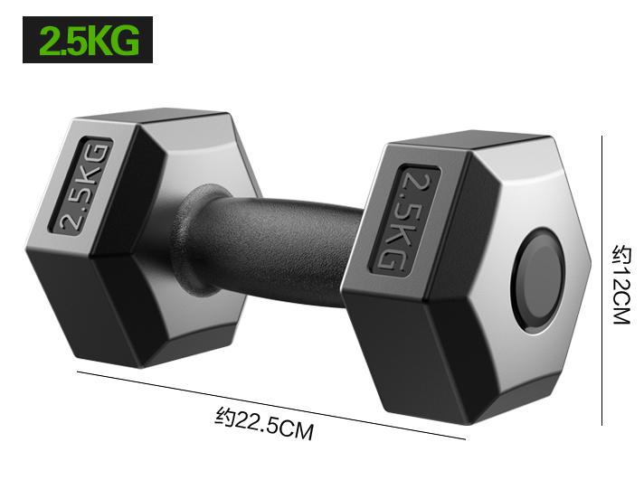 2.5kg 2pcs Hexagonal Rubberized Dumbbell Gym Dedic... – Grandado