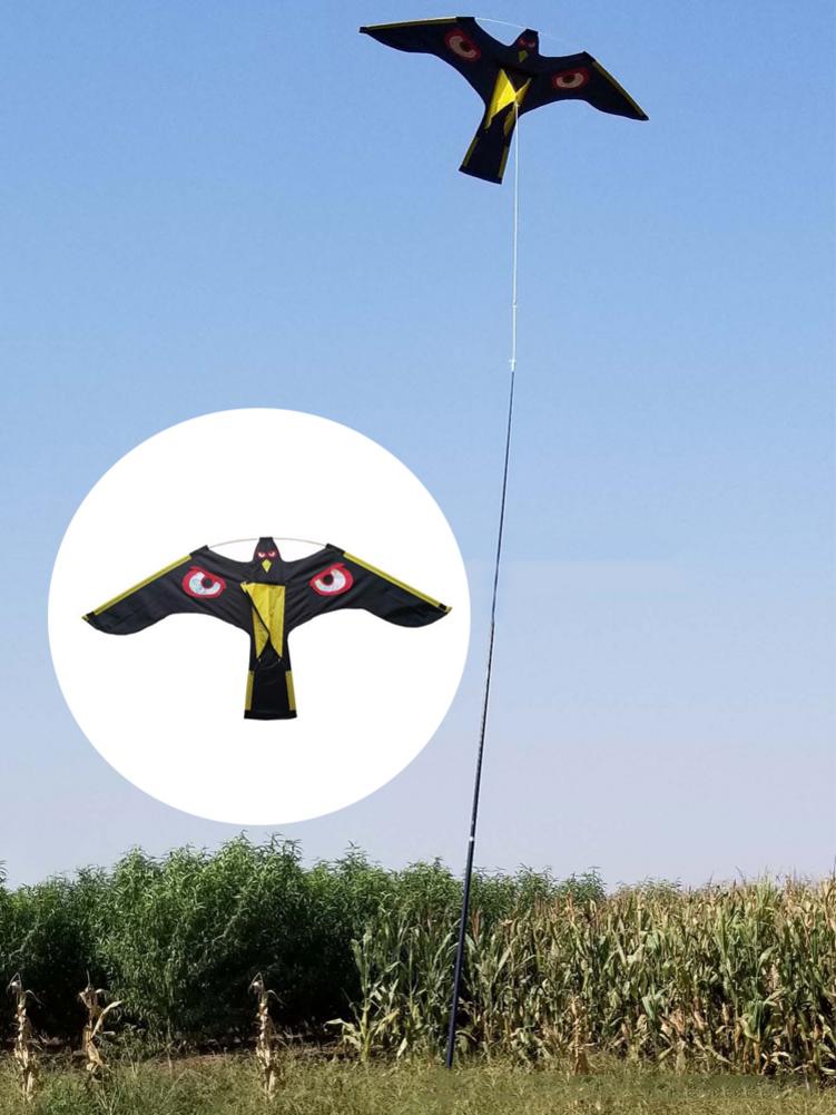 Garden Bird Repellent Kite Eagle Kite Flying For H... – Grandado