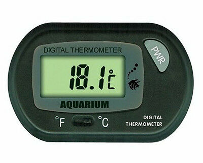 Digital LCD Thermometer Temperature For Home Brew ... – Grandado