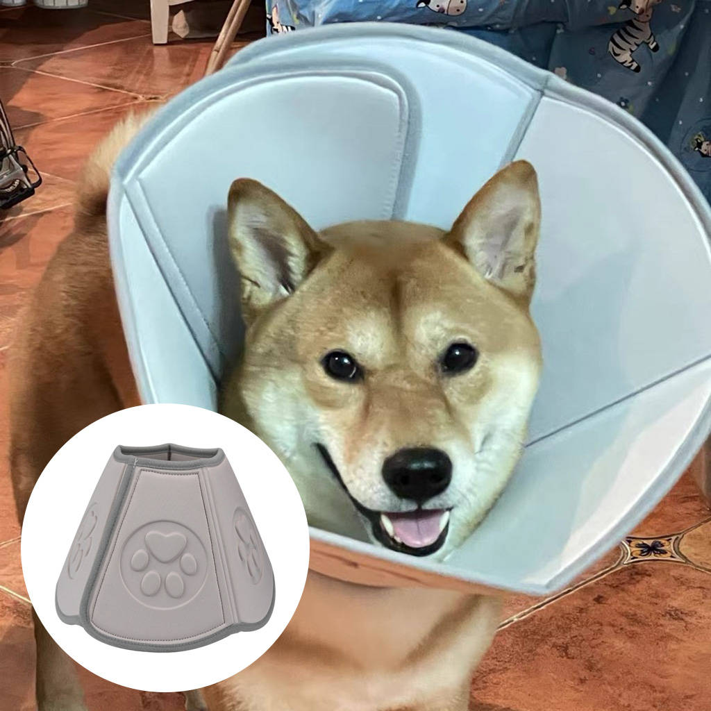 Protective Collar for Dogs and Cats - Soft Pet Rec... – Grandado