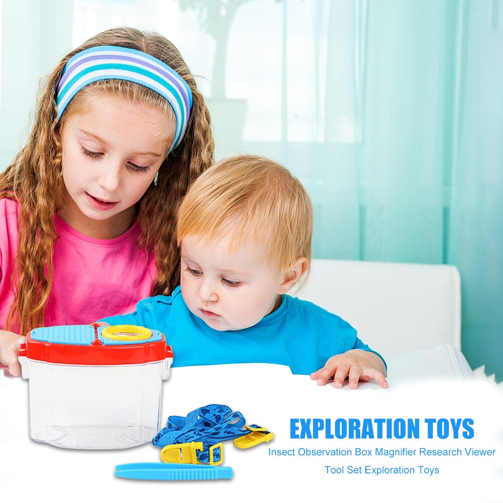 Kids Insect Observation Box Exploration Toys with ... – Grandado