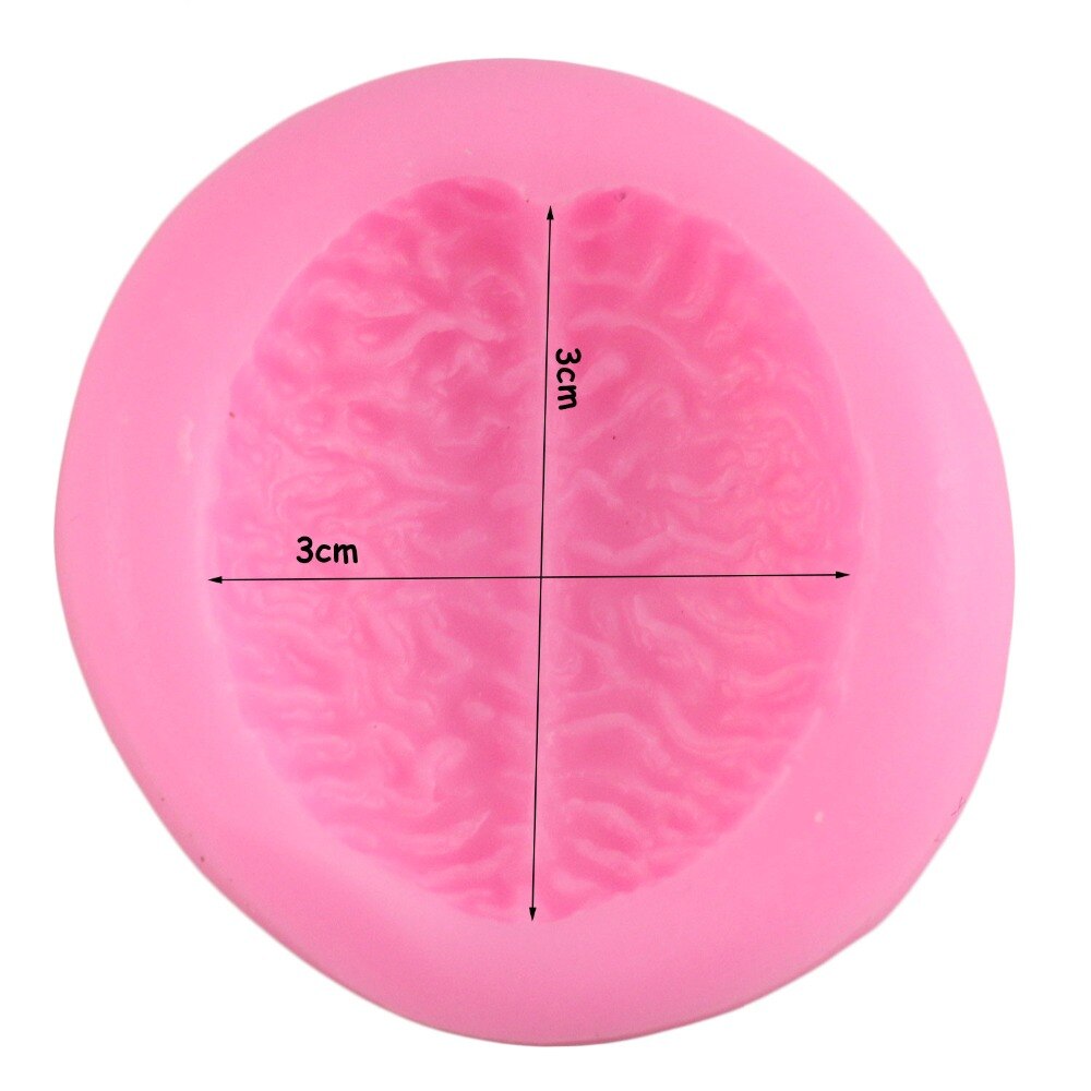Small Brain Mold Fondant Clay Resin Mould Candy Ch... – Vicedeal
