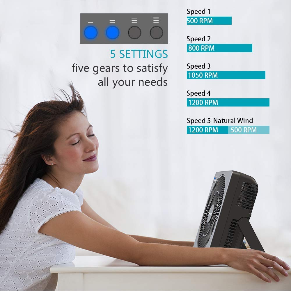 8 Inch Desk Fan with Timer, USB Operated, 5 Speeds... – Vicedeal