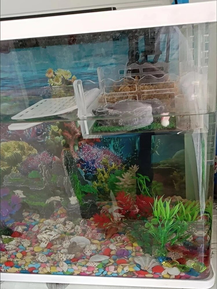 Wall-mounted tortoise terrace climbing frame deep ... – Vicedeal