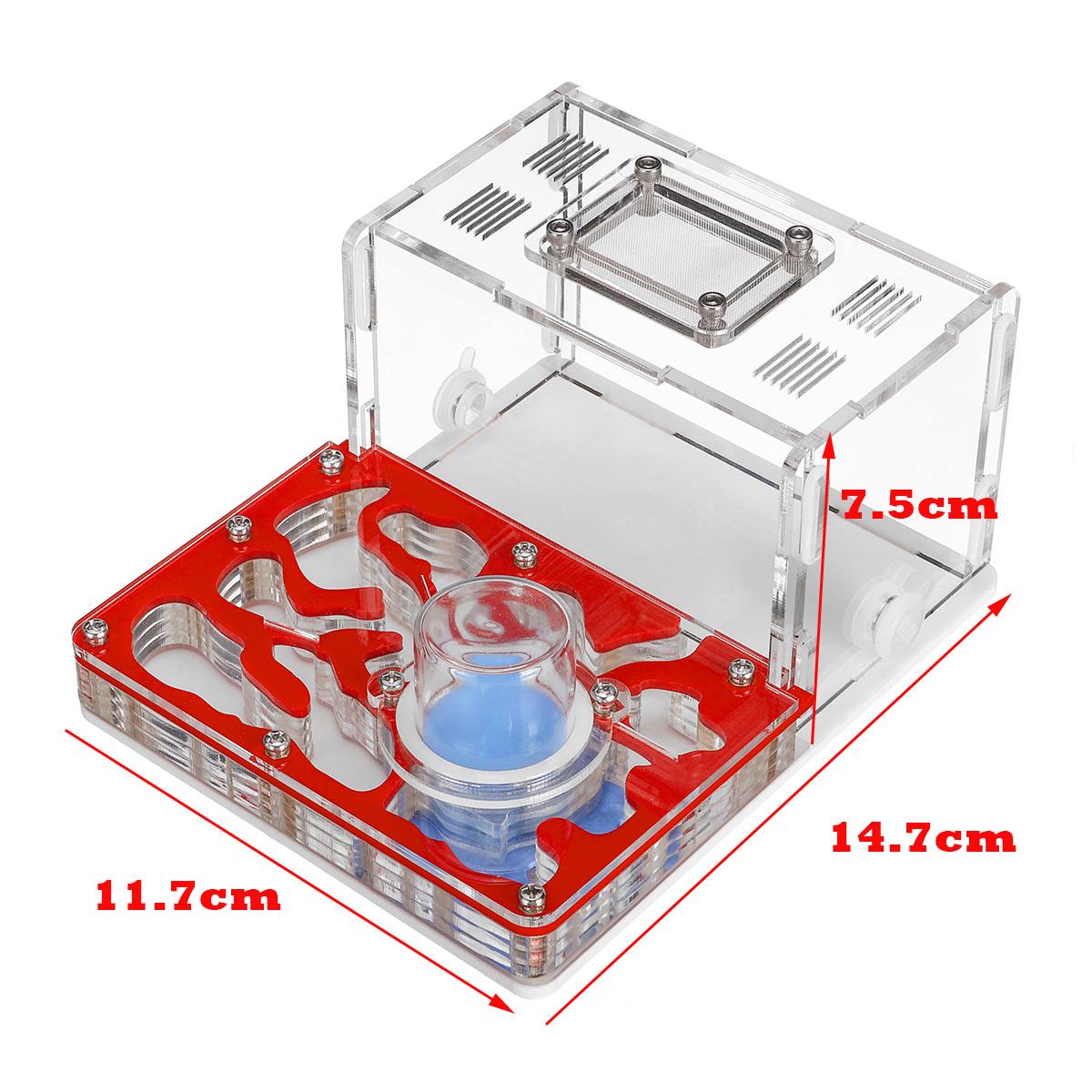 Diy Acryl Ant Nest Ant Farm Acryl Insect Mieren Vi... – Grandado
