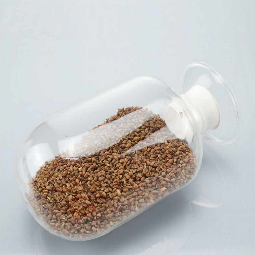 125Ml 250Ml 500Ml Lab Opslag Monster Glazen Fles E... – Vicedeal