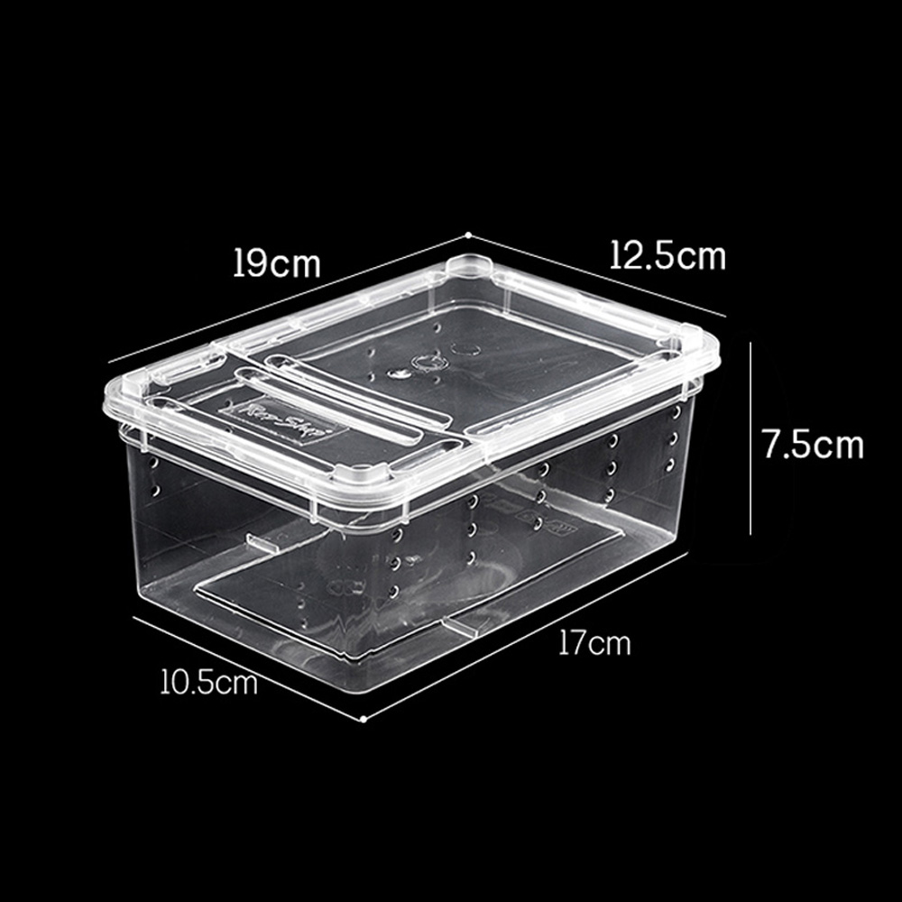 Transparent Plastic Box Insect Reptile Reptile Fee... – Grandado