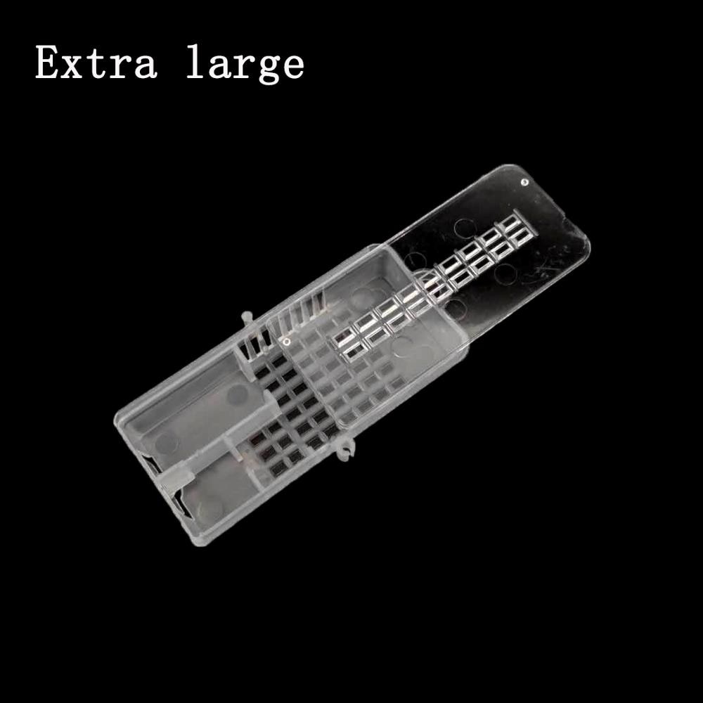 2PCS Large Size Bee Virgin Queen Bee Mail Post Tra... – Vicedeal