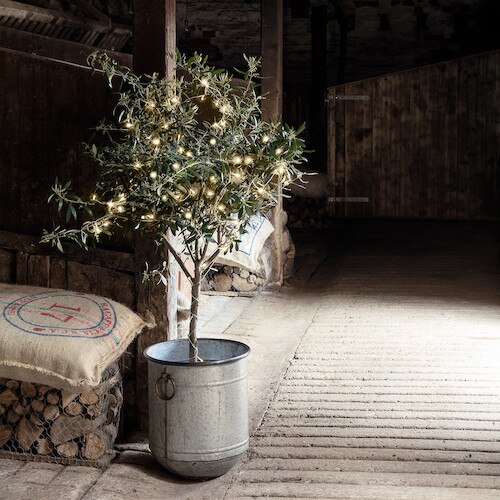 10M/20M/30M/50M/100M Outdoor LED Fairy String Ligh... – Vicedeal