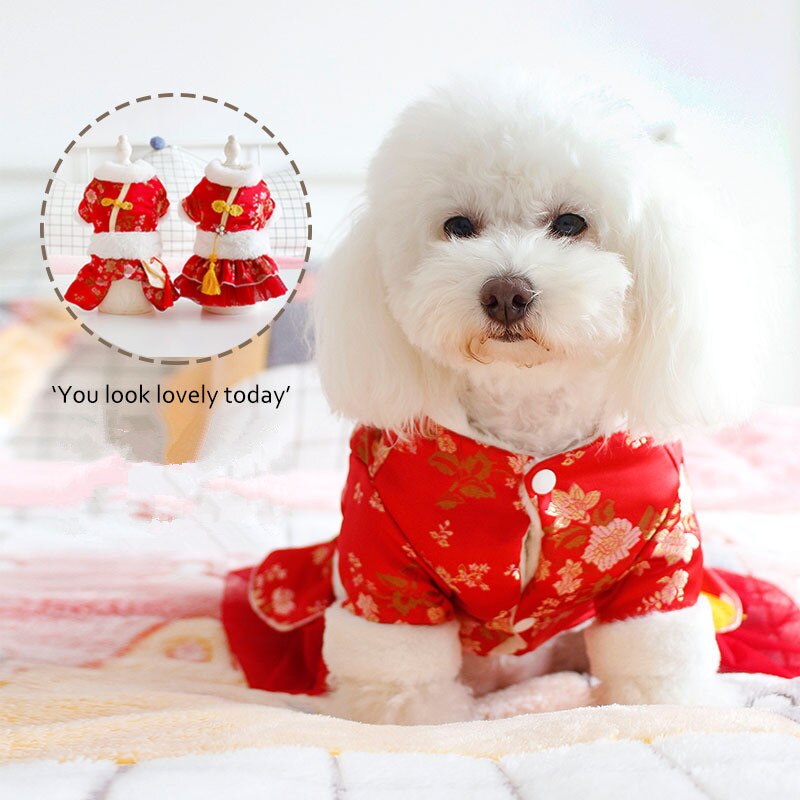 Chinese Year Dog Clothes Boy Dog Jumpsuit Girl Dog... – Grandado