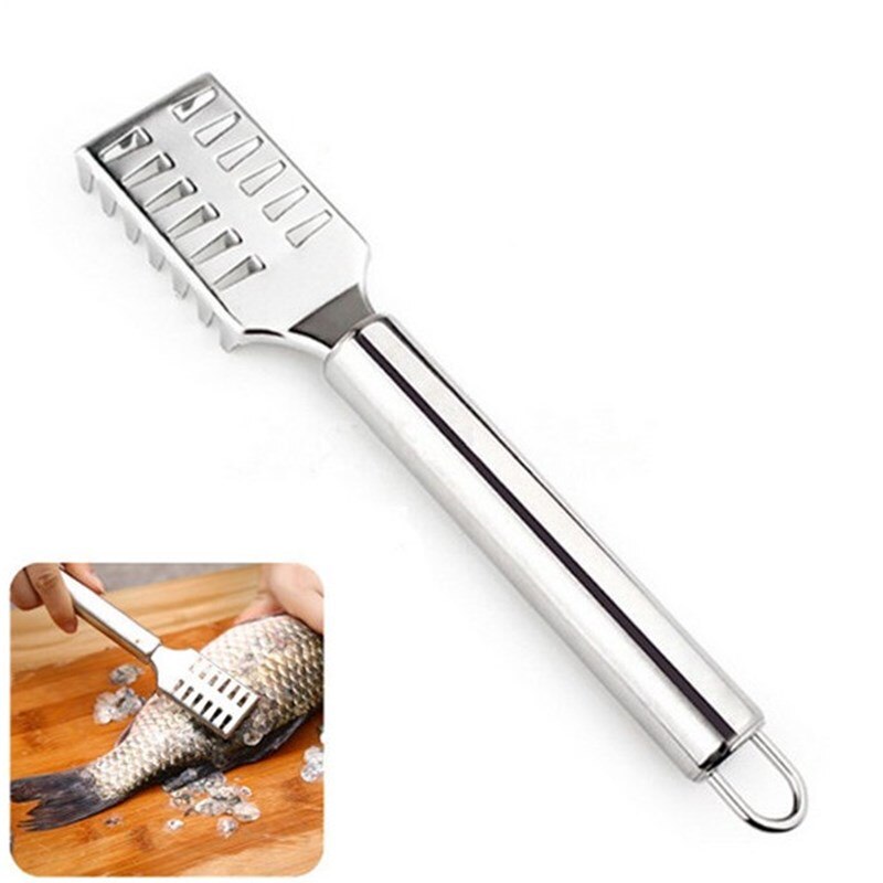 1PC Stainless Steel Fish Scale Remover ,Easily Rem... – Grandado