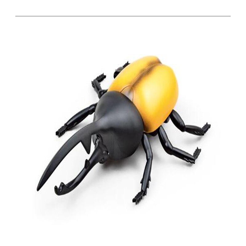Infrared Remote Control Simulation Beetle Terrifyi... – Grandado