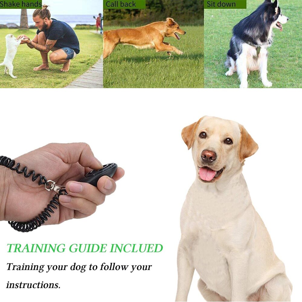 Dog Training Set Pet Whistle Clicker Bag Rope Ball... – Vicedeal