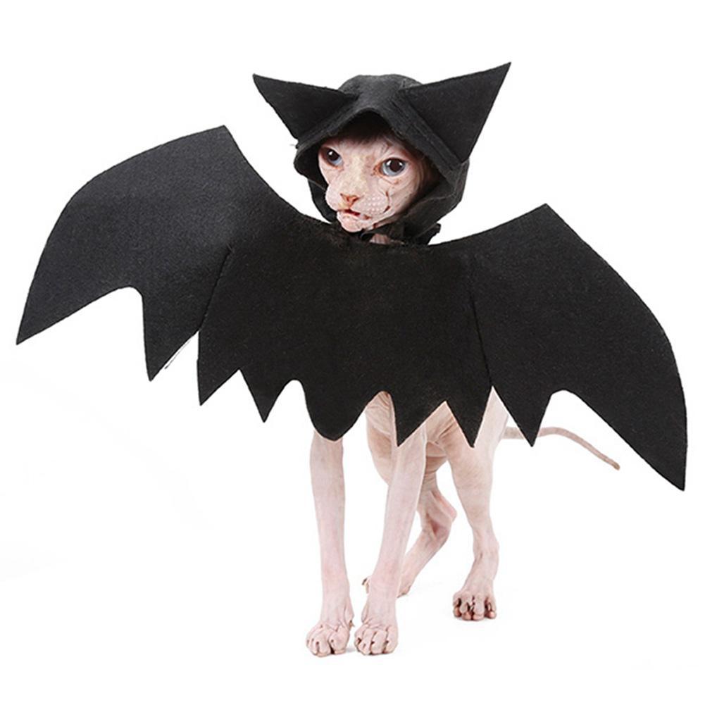 Halloween Pet Bat Wings Costumes with Hat Fancy Dr... – Vicedeal