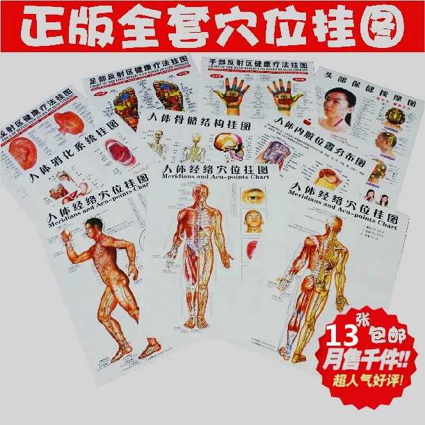 The Human Skeleton Diagram Of Meridian Acupoint Lo... – Grandado