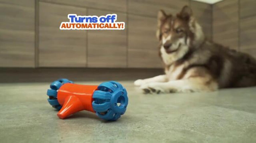 Bobo Bone Electric Dog Toy Smart Bone, Automatic &... – Grandado