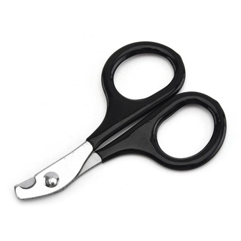 Pet Cat Claw Care Tools Cat Scissors Nails Pet Sup... – Grandado
