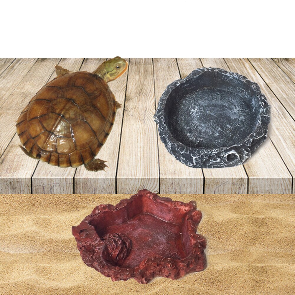 Lizard Turtle Feeding Pot Crawler Pet Feeder Bowl ... – Grandado
