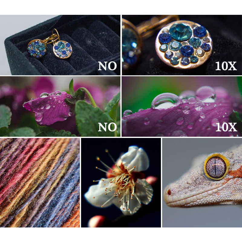 KnightX Close Up Macro Lens Filter +10 Close-UP Fo... – Grandado