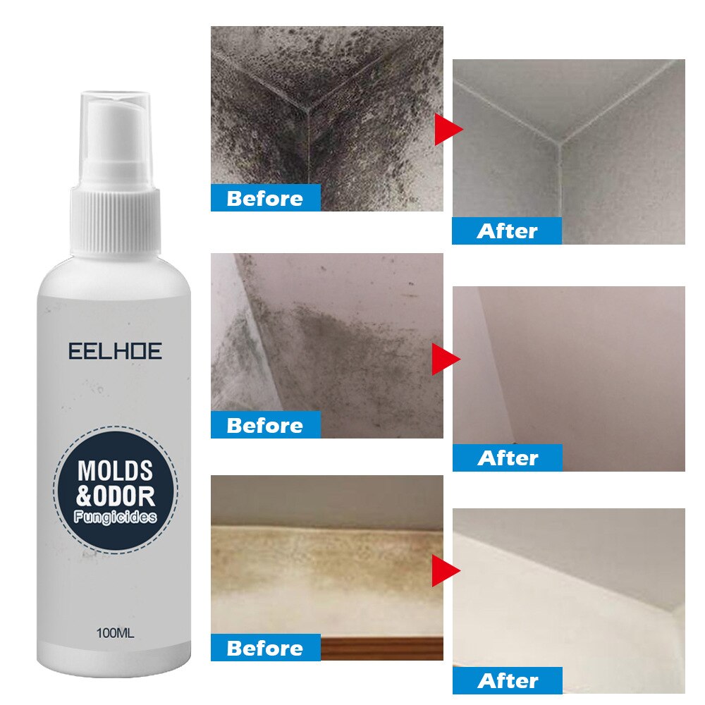 Household Chemical Miracle Deep Down Wall Mold Mil... – Grandado