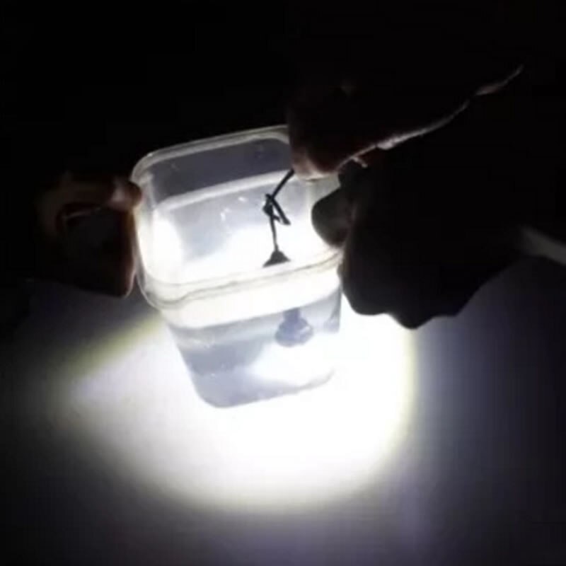 Barco LED azul de plata clara, cubierta impermeabl... – Grandado