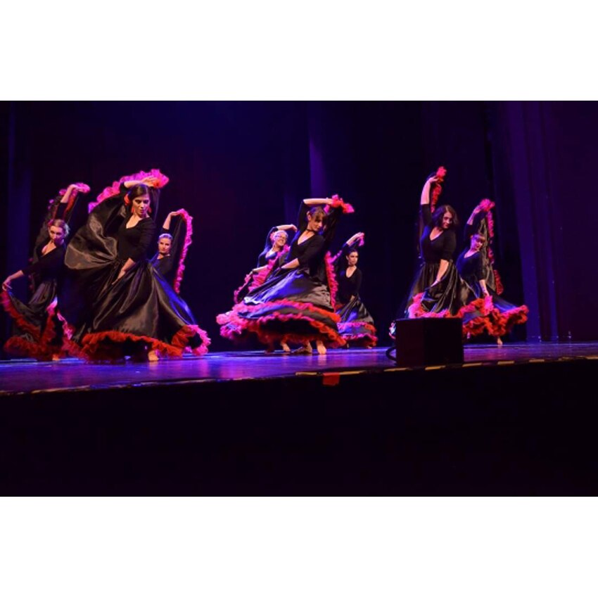 Luxe Team Wear Flamenco Rok Voor Vrouwen Gypsy Mei... – Vicedeal