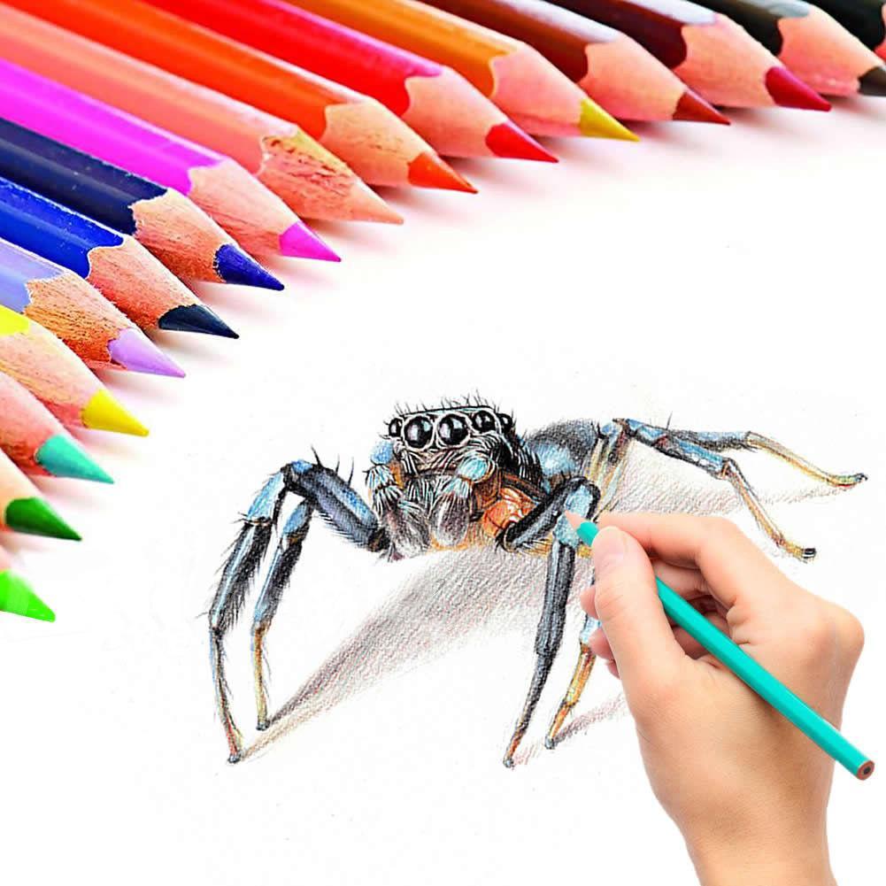 Special 24 Colors Drawing Pencils Non-toxic For Ki... – Grandado
