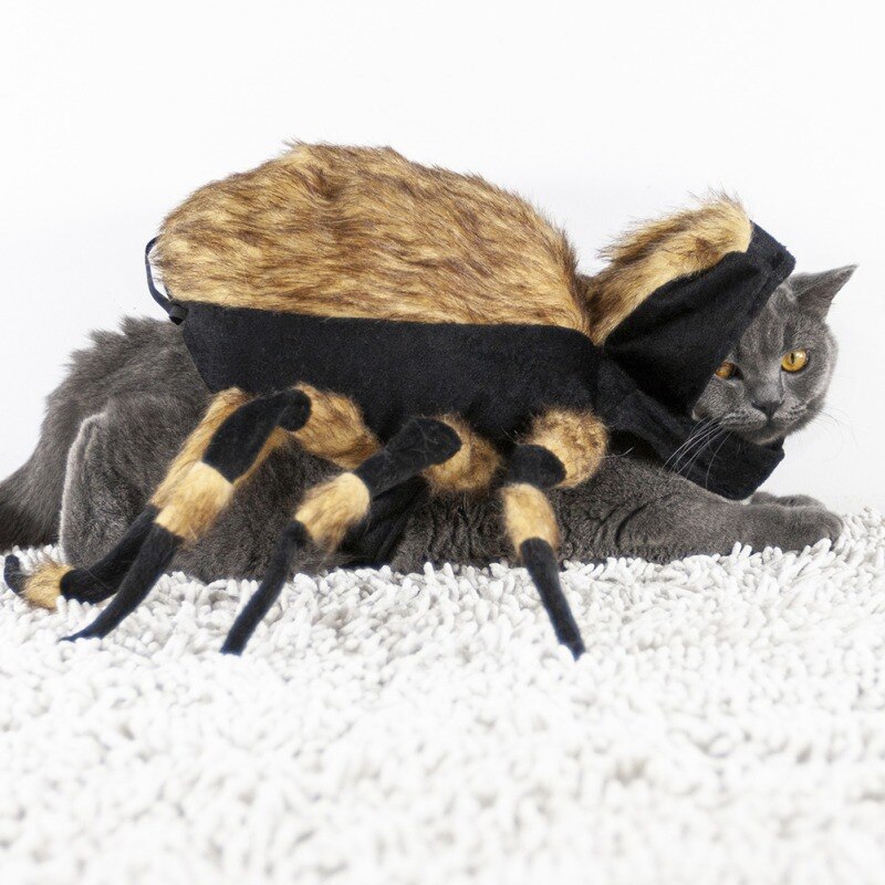 Halloween Spider Clothes For Pet Dog Cat Funny Spi... – Grandado
