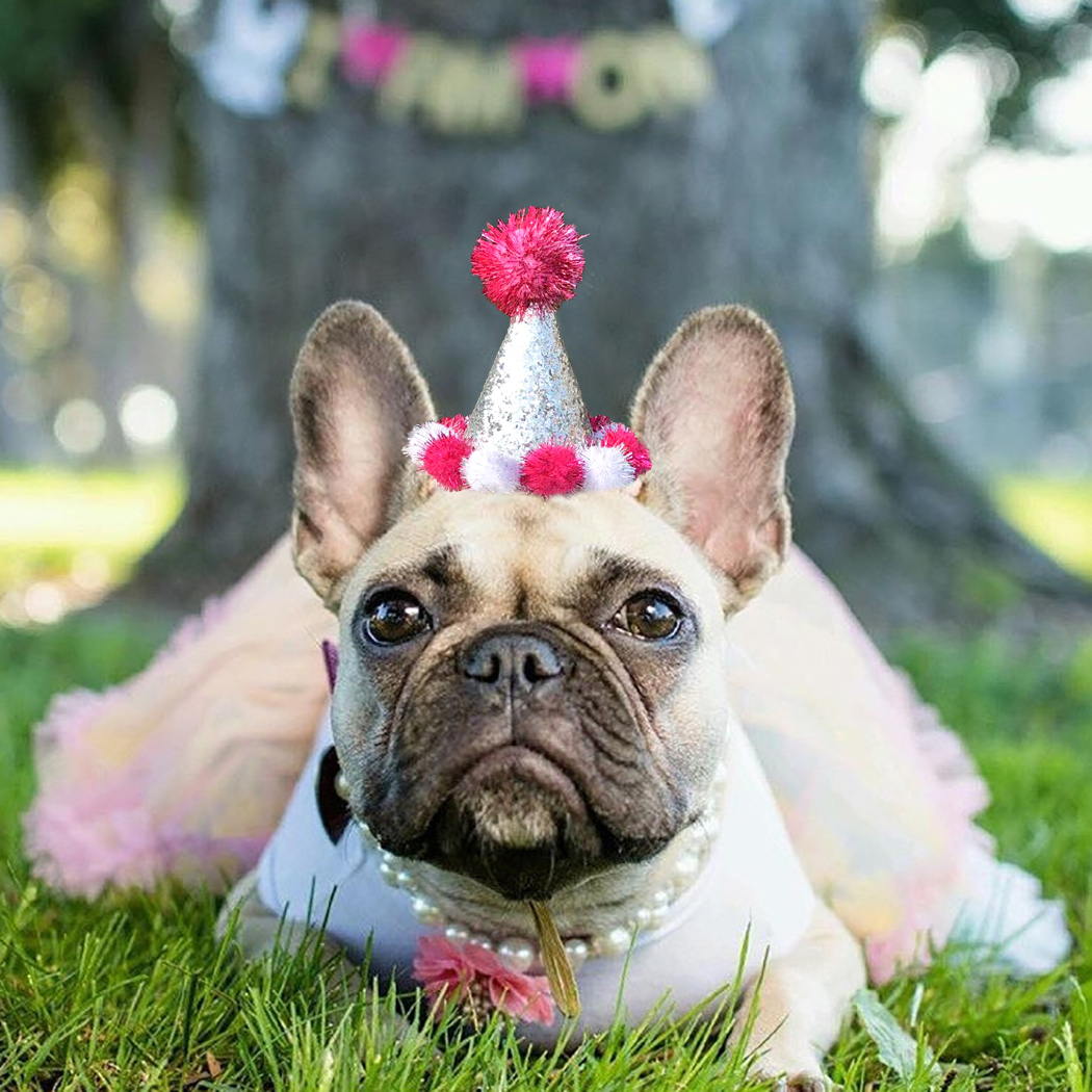 Pet Birthday Hat Cute Pompom Cat Cone Hat Dog Part... – Vicedeal