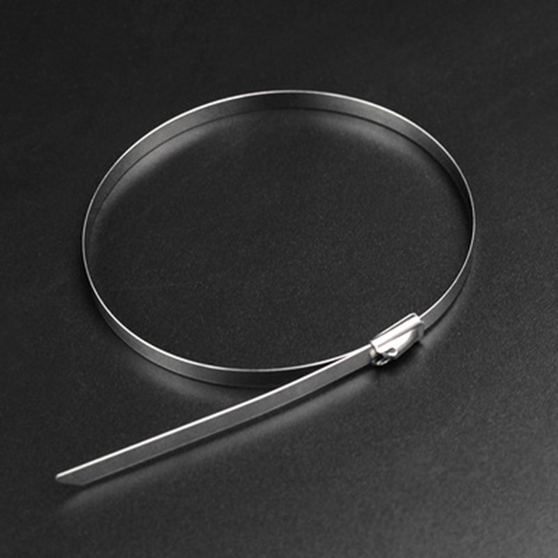 100pcs Ties 304 Stainless Steel Cable Ties Length Vicedeal