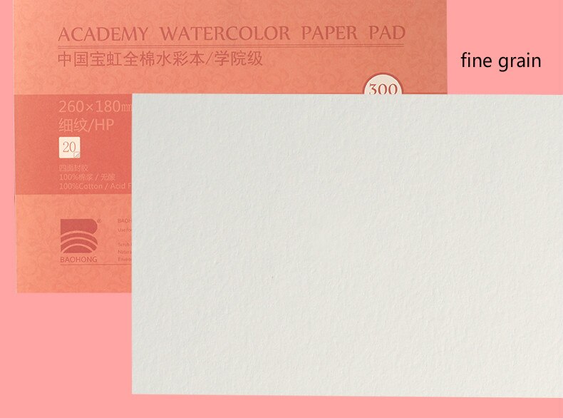 Artist Thicken 300g Painting Paper Book 20sheets W... – Grandado