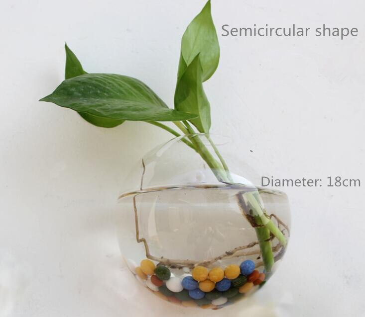 wall glass vase Wall mounted fish tank Hanging hyd... – Vicedeal