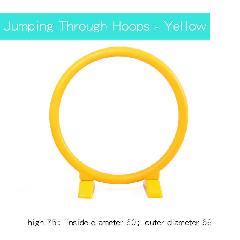 Ruizhi Children Hurdles Sport Jumping Through Hoop... – Vicedeal