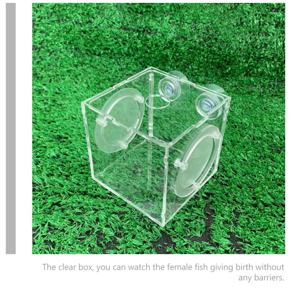 Fish Breeding Box Fish Hatchery Isolation Box Fish... – Grandado