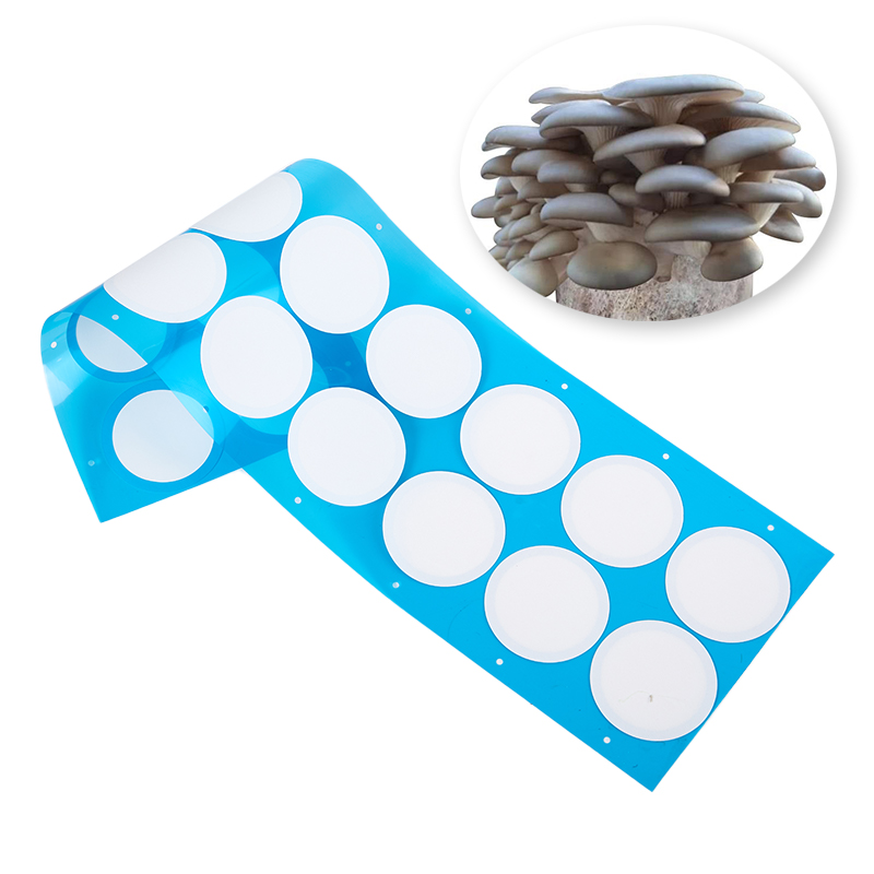 1Sheet Synthetic Paper Stickers Membrane Cultivati... – Grandado