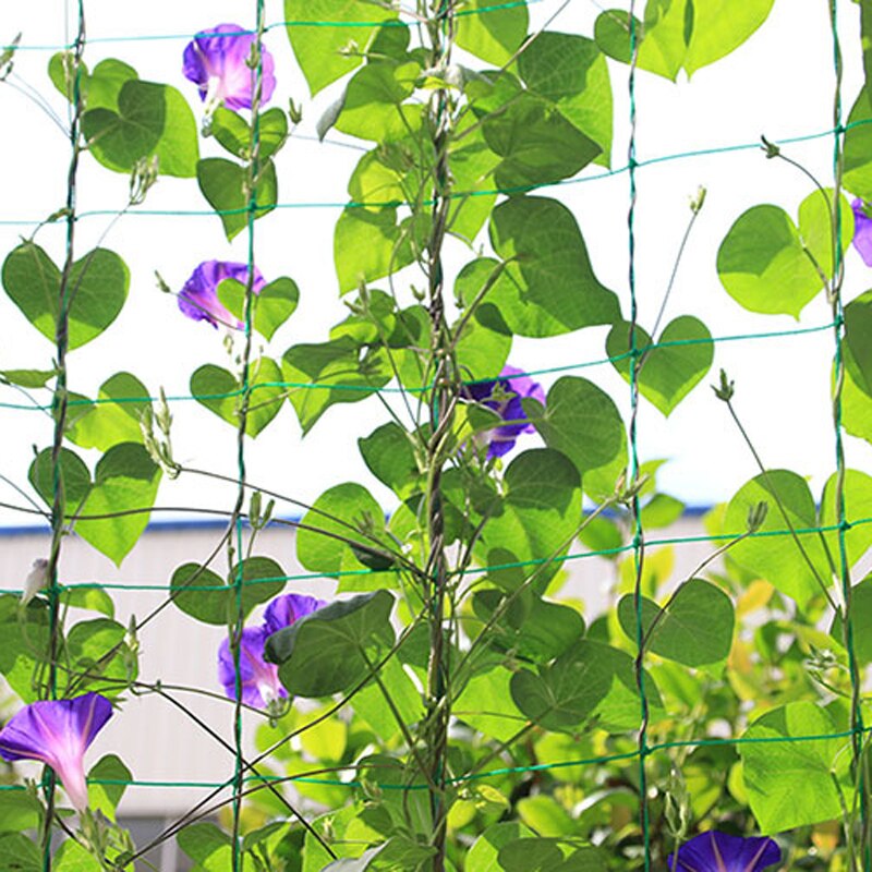 Garden Plants Climbing Trellis Netting Bean Fruits... – Grandado