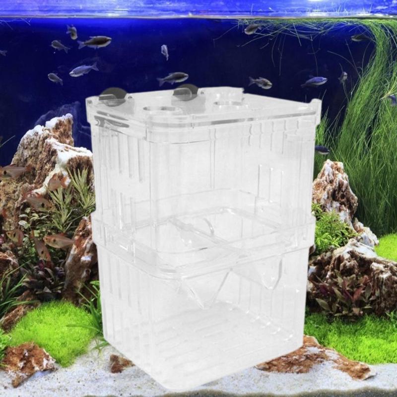 Aquarium Incubator Box Acrylic Fish Tank Breeding ... – Grandado