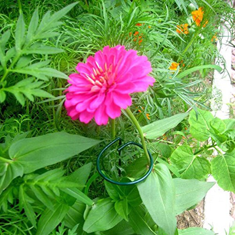 Durable Plant Stem Support Ring Cage Garden Iron P... – Grandado