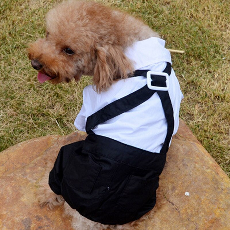Mode Gentleman Puppy Hond Jumpsuit Rompertjes Lent... – Grandado