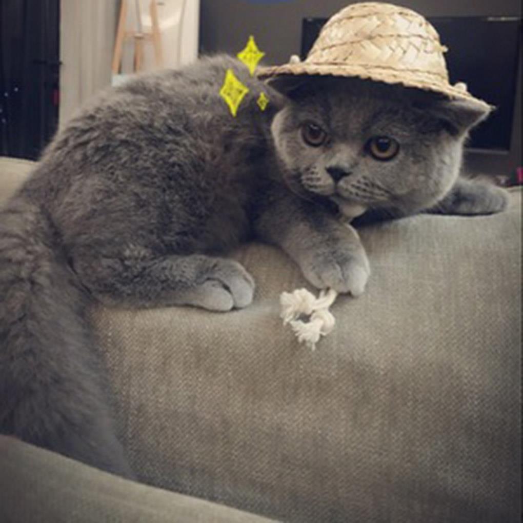 Mini Pet Cats Straw Hat Pet Dogs Straw Hat Adjusta... – Grandado