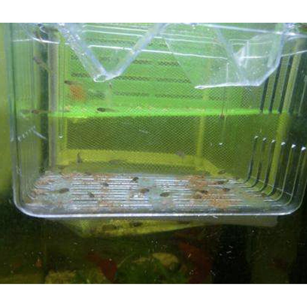 10*13*7cm DoubleDeck High Clear Aquarium Fish Bree... – Grandado