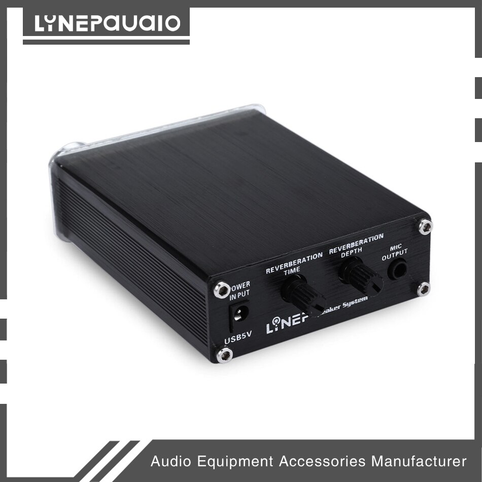 Microphone Preamp 2-Way MIC Pre-Amplifier Reverber... – Vicedeal